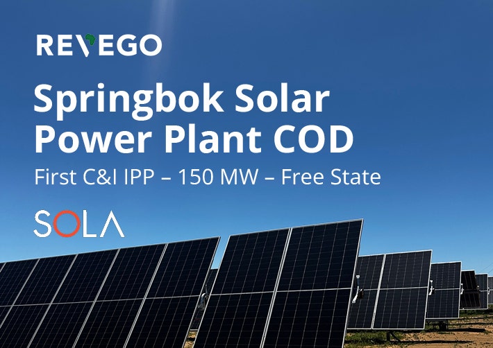 Springbok Solar Power Plant Achieves COD – First C&I IPP Milestone